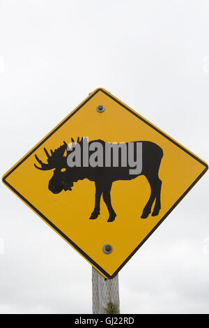 A traffic sign warns road users to be alert for moose outside in ...