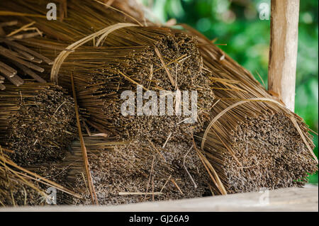 Close up dry straw thatch roof of traditional Thai house Stock Photo ...