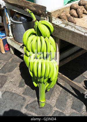 CARIBBEAN MARKET STALL WITH GREEN BANANAS,DOMINICA Stock Photo - Alamy