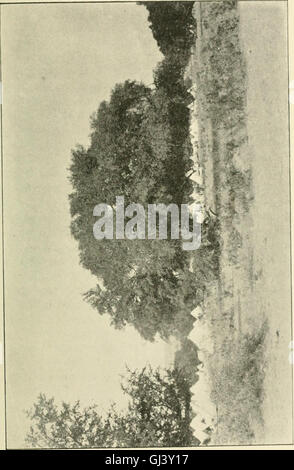 'The Land of the Moors' (1901) provides a detailed description of the ...