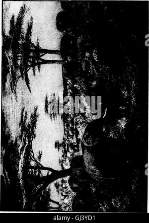 'Big Game Shooting' (1894) offers a detailed account of hunting large ...