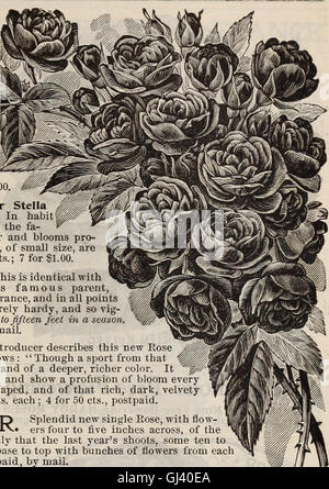 Burpee's farm annual written at Fordhook Farm (1897 Stock Photo - Alamy