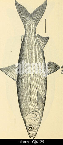 The 1900 Documentary Journal of Indiana provides a detailed account of ...