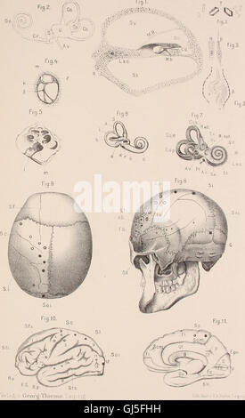 This 1898 textbook provides a comprehensive study of comparative ...
