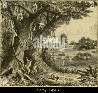 This history outlines the origin, primitive conditions, and ethnic ...