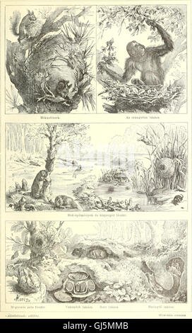The 'Révai Nagy Lexikona' (1911) is a Hungarian encyclopedia that ...