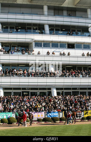 A general view of the Parade ring viewing boxes at Cheltenham ...