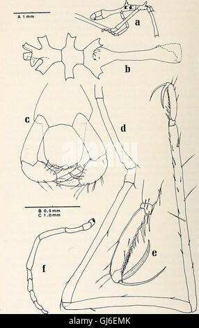 A 1974 publication from the Zoological Research Institute and Museum ...