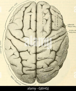 'Anatomy, Descriptive and Surgical' (1897) offers a detailed ...