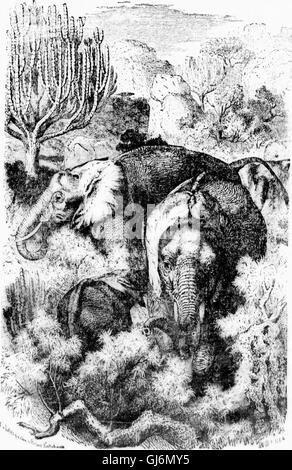 'Earth, Sea and Sky' is a detailed work presenting the marvels of the ...