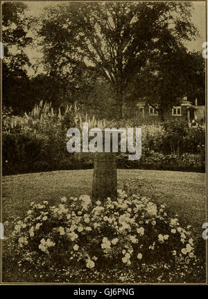 A 1920 garden guide designed for amateur gardeners, offering over 275 ...