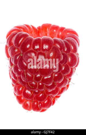 Single red raspberry isolated on white background. Studio shoot Stock ...
