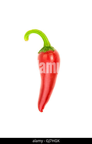 One ripe red Chilli peppers on over white Stock Photo - Alamy