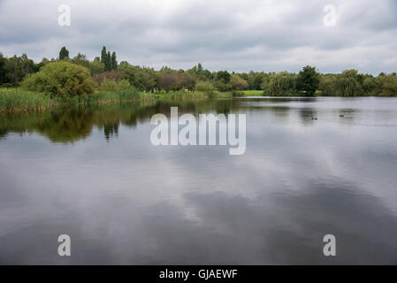 valley of three ponds in katowice on a cloudy day Stock Photo - Alamy