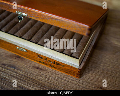 Box of Cohiba Esplendidos cigars Cuba Stock Photo - Alamy