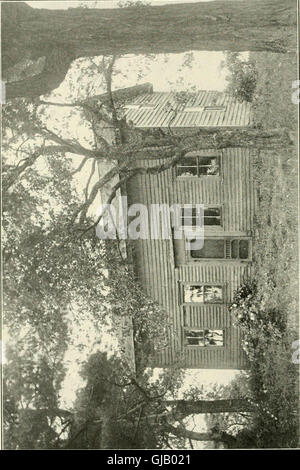 A 1915 genealogy of the Tennant family, tracing their ancestors and ...