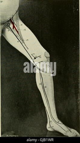 Landmarks and surface markings of the human body (1913 Stock Photo - Alamy