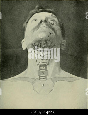 A detailed guide to the landmarks and surface markings on the human ...