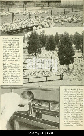 The 1872 edition of 'Popular Science Monthly' provides a range of ...