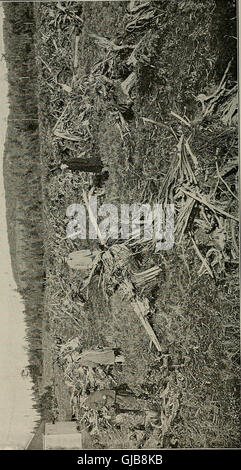 *Increase the Crop per Acre* (1911) discusses the use of dynamite in ...