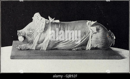 Published in 1905, this magazine focuses on culinary science and ...