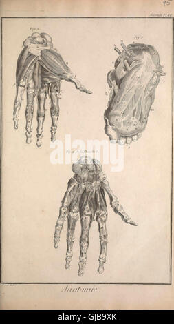 A 1762 collection of plates on sciences, liberal arts, and mechanical ...