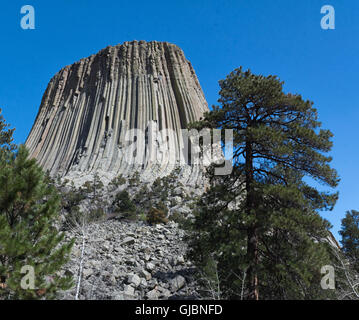 Devils Tower volcanic rock formation with basalt columns under a ...
