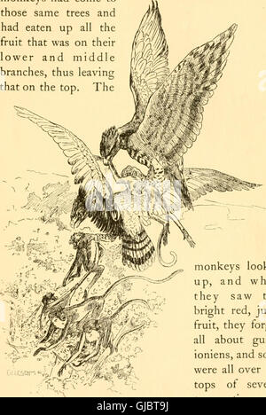 'The World of the Great Forest' (1900) explores the behaviors ...
