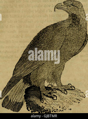 *A History of British Birds* (1809) focuses on British bird species ...