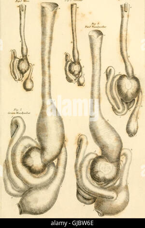 This comprehensive history covers British birds, detailing both ...