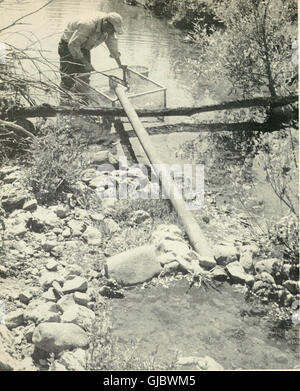 'California Fish and Game' is a periodical focused on wildlife ...