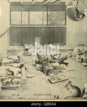 The 'Popular Electricity Magazine' (1913) presents electrical science ...