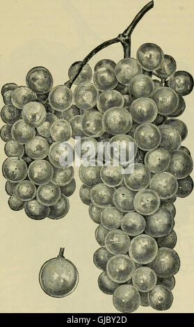 This 1893 work offers a comprehensive guide to the cultivation of ...