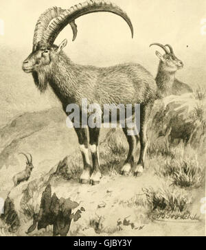 This narrative recounts a nine-month journey through Abyssinia (modern ...