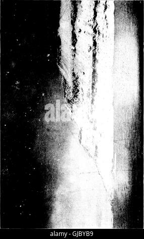 An account of expeditions in Northern Greenland's ice-cap, documenting ...