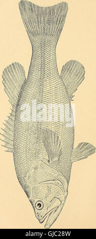 This 1897 manual provides guidelines on fish culture, based on the ...