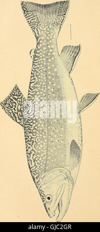This 1897 manual provides methods for fish-culture based on research by ...