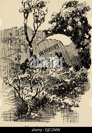 'Songs from the Ozarks' (1922) is a collection of poems inspired by the ...