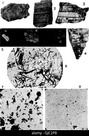 . On the Four Visible Ingredients in Banded Bituminous Coal: Studies in ...