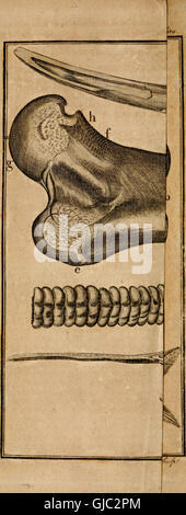 'The Columbian Magazine,' published in 1786, was a monthly periodical ...