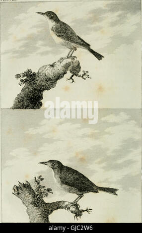 *Histoire Naturelle de Buffon* (1801) is a comprehensive work by ...