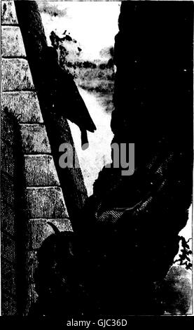 This 1802 work, ‘Natural History of Buffon,’ categorizes species ...