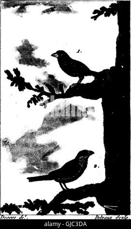 'Histoire Naturelle de Buffon' (1802) is Buffon's detailed work on ...