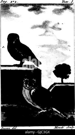 This 1802 work by Georges-Louis Leclerc, Comte de Buffon, is a natural ...