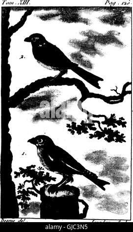 Buffon's 'Histoire naturelle' (1802) categorizes plants and animals ...