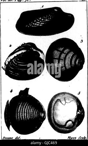 This 1802 work offers a natural history of shells, describing their ...