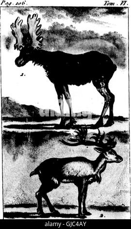 This 1802 edition of Buffon’s Natural History follows Linnaeus ...