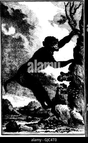 This 1789 work, a continuation of the history of quadruped animals, is ...