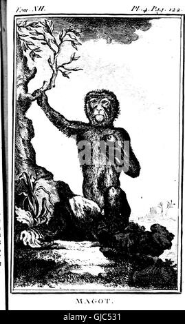 This 1770 work, a natural history text in both general and specific ...