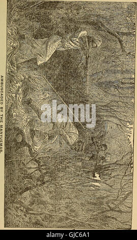 'Daring Deeds in the Tropics' (1894) narrates the thrilling adventures ...
